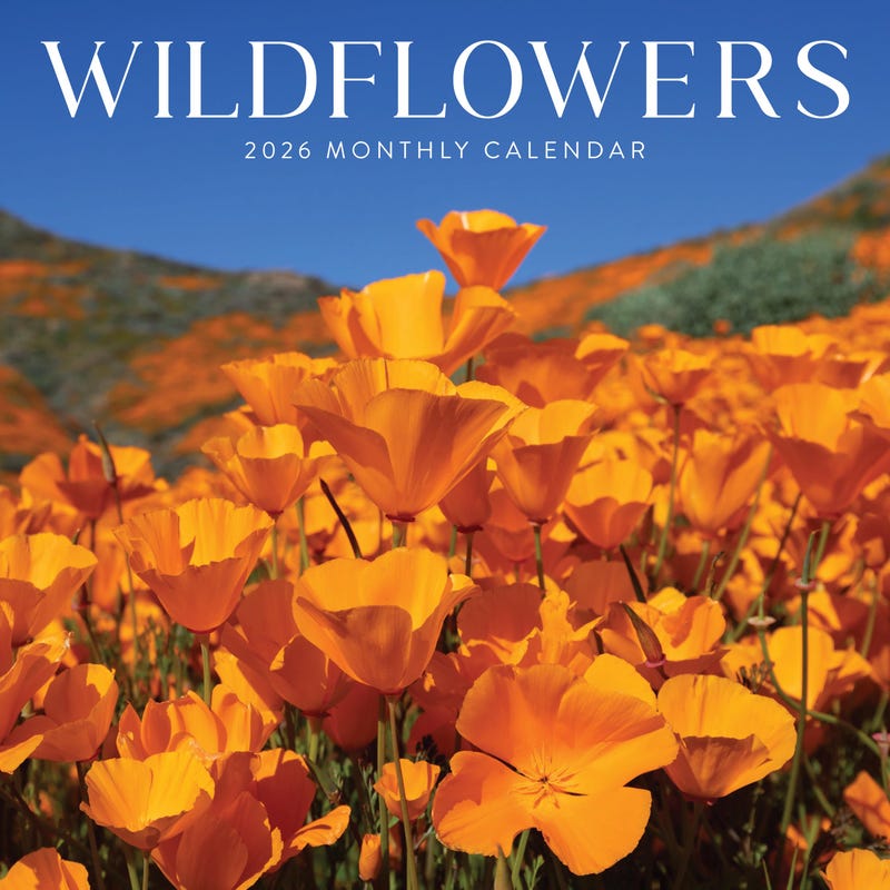 Tree Calendar Wildflower - Etsy