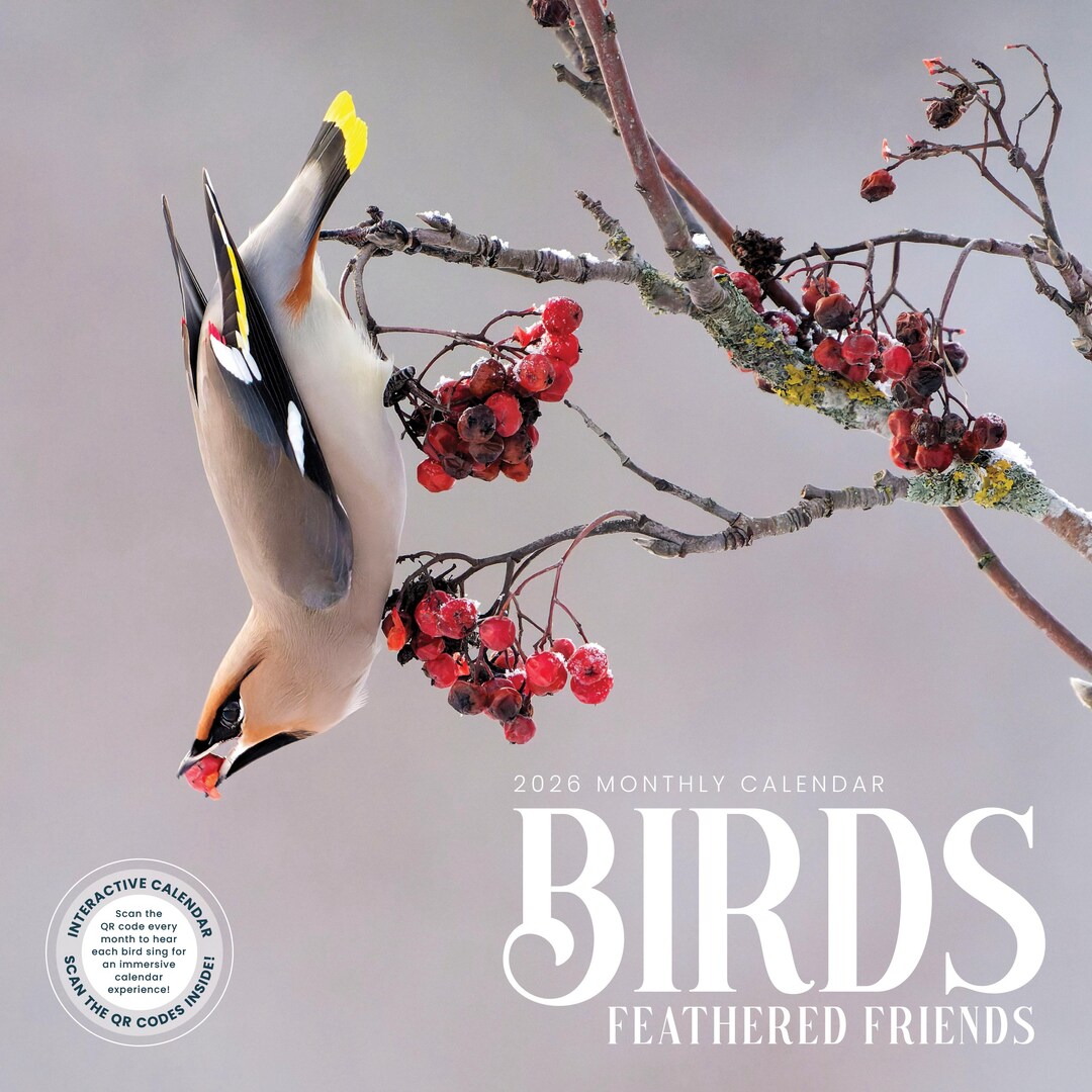 2026 Birds Monthly Calendar - Etsy