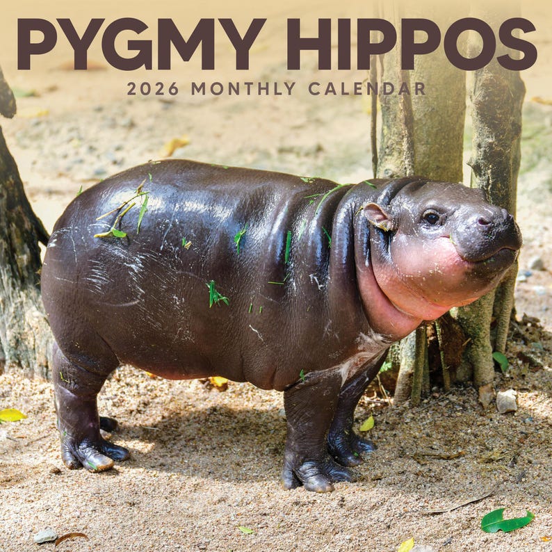 2026 Pygmy Hippos Monthly Calendar - Etsy
