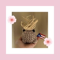 Flag of Puerto Rico Graph Pattern - Fun & Easy to Crochet! - Etsy Canada