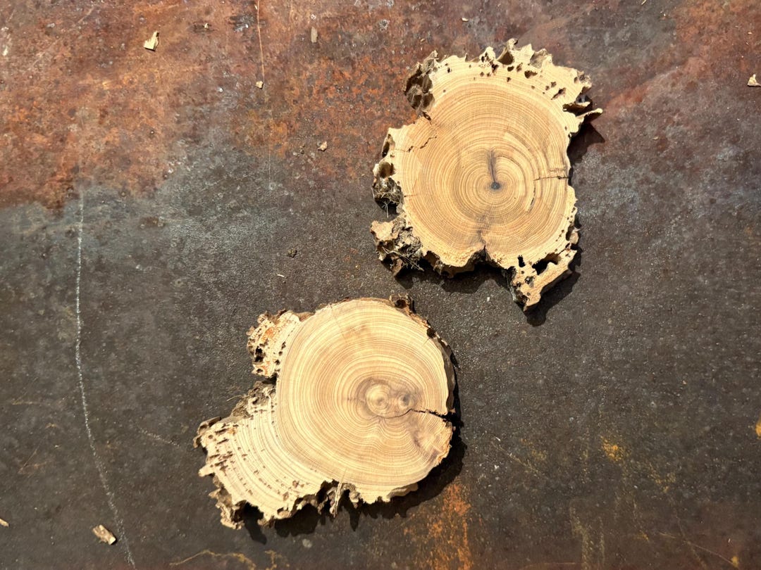 2 Sliced, Live Edge Cedar Rounds - Etsy