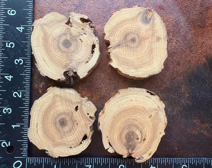 4 Sliced, Live Edge Cedar Rounds - Etsy