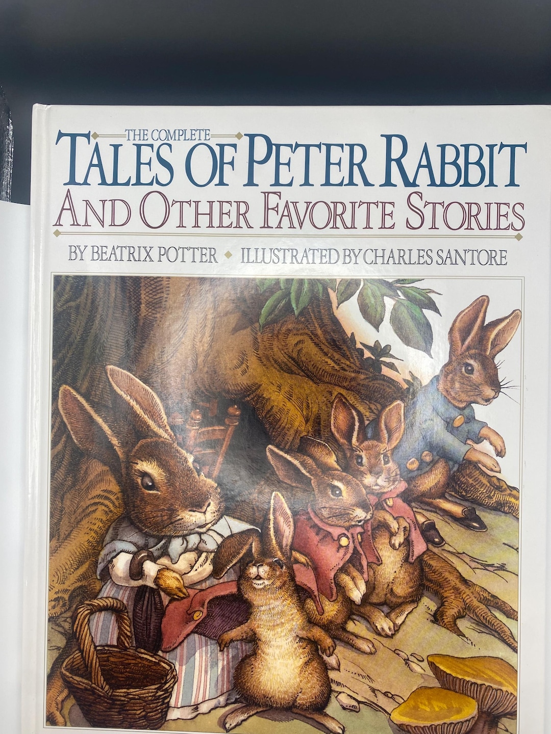 Tales of Peter Rabbit - Etsy