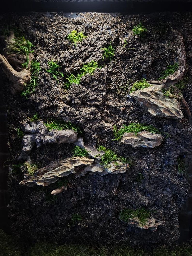 Made to Order Custom Vivarium Backgrounds | Handcrafted - Etsy