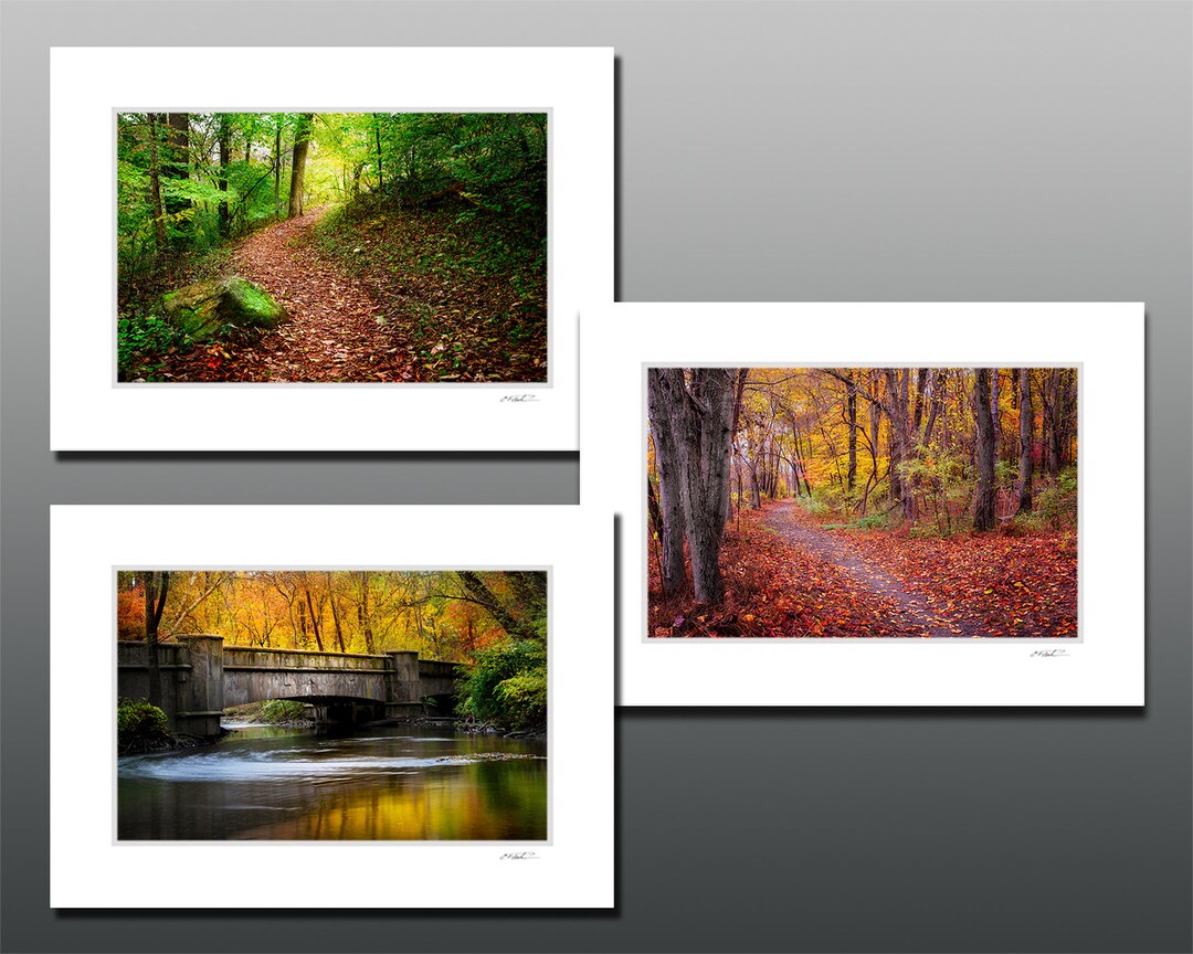 Autumn Collection of Small Matted Photography Prints, Set of Three ...