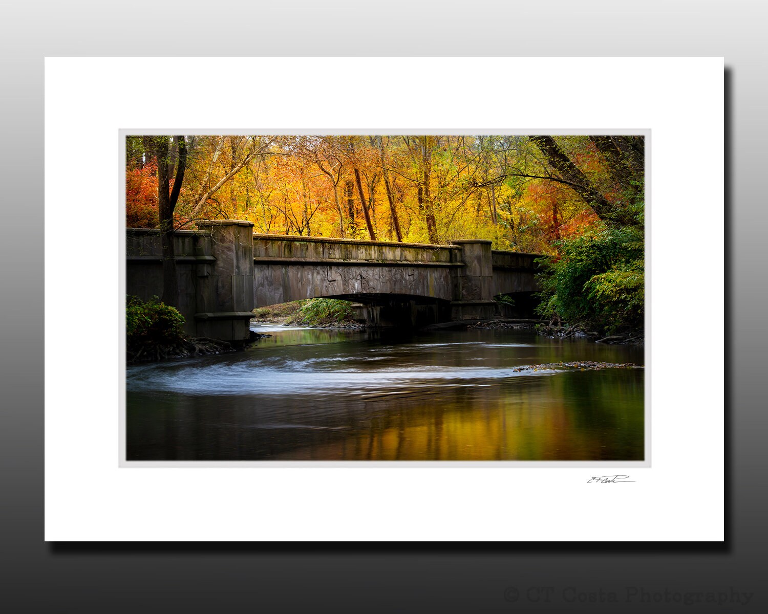 Autumn Collection of Small Matted Photography Prints, Set of Three ...