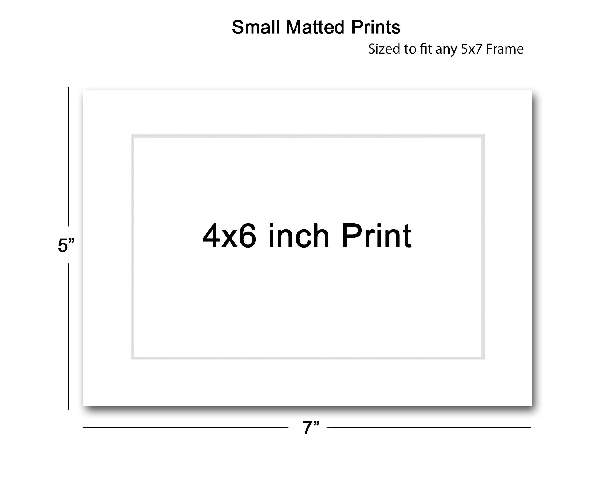 Beach Jetty Rocks Sunrise Photo From Long Beach Island, Harvey Cedars Small Framed Wall Art ...