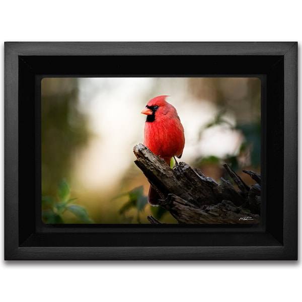 Wall Art Framed - Etsy