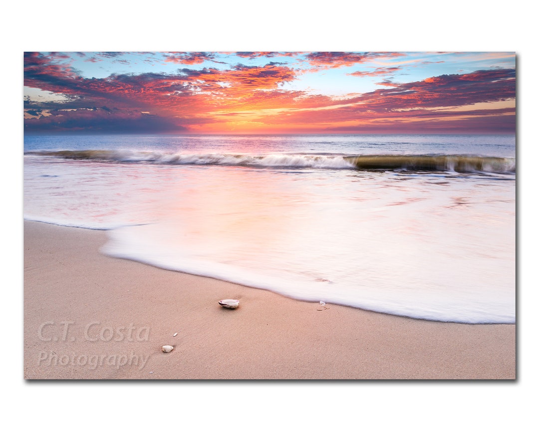 Beach Sunrise Photography, Shells in the Sand, Seascape Art, Ocean ...