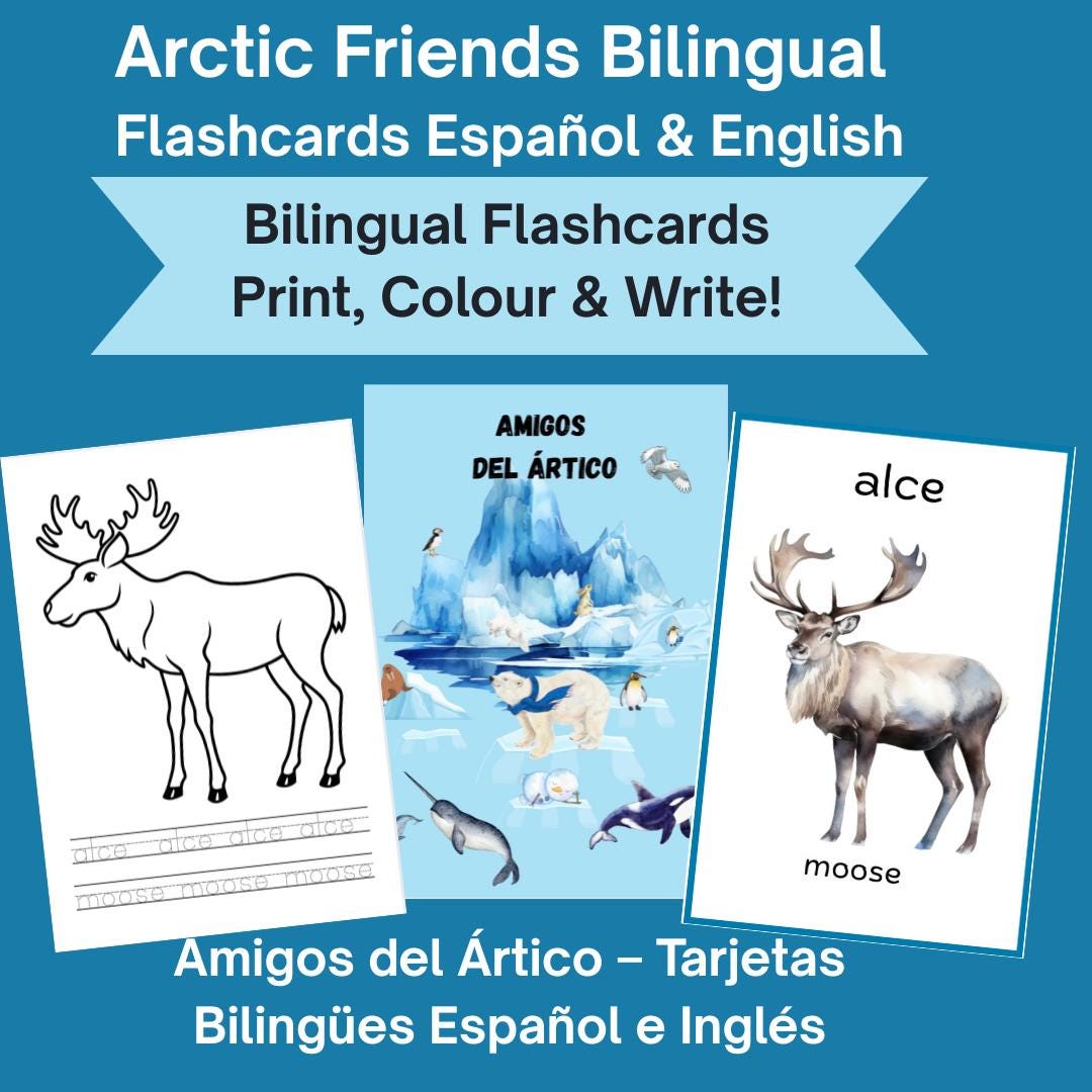 Arctic Animals Bilingual Flashcards Español English, Printable, Colour ...