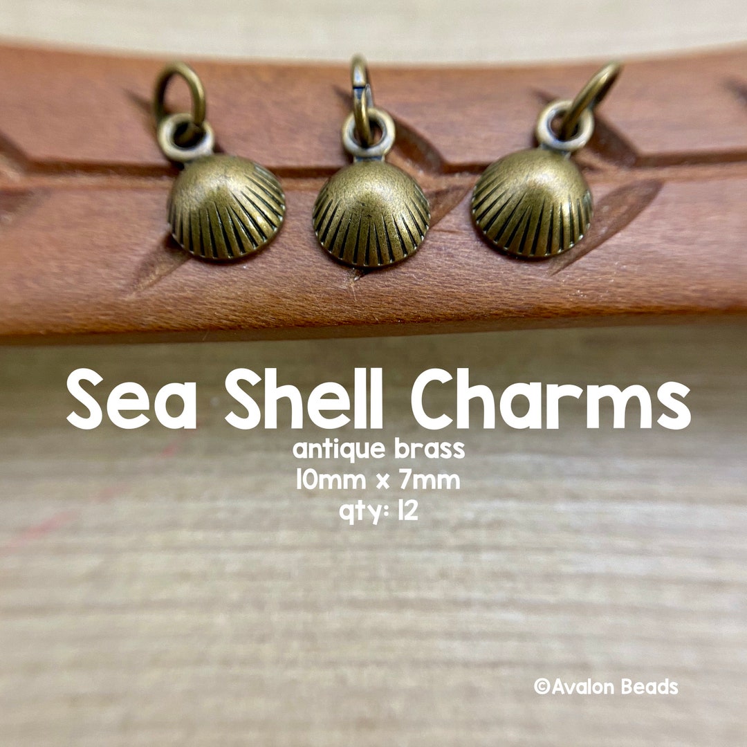 Sea Shell Charms - Antiqued Brass - 12 Pieces - Etsy