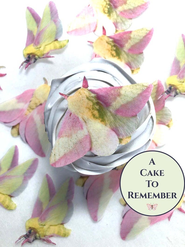 ACakeToRemember - Etsy