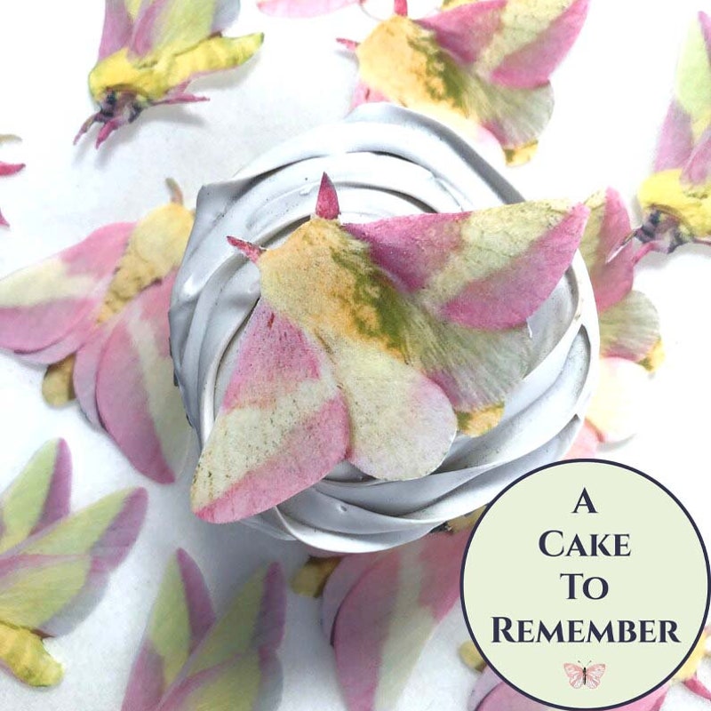 Whimsical Wedding Cake Toppers - Etsy