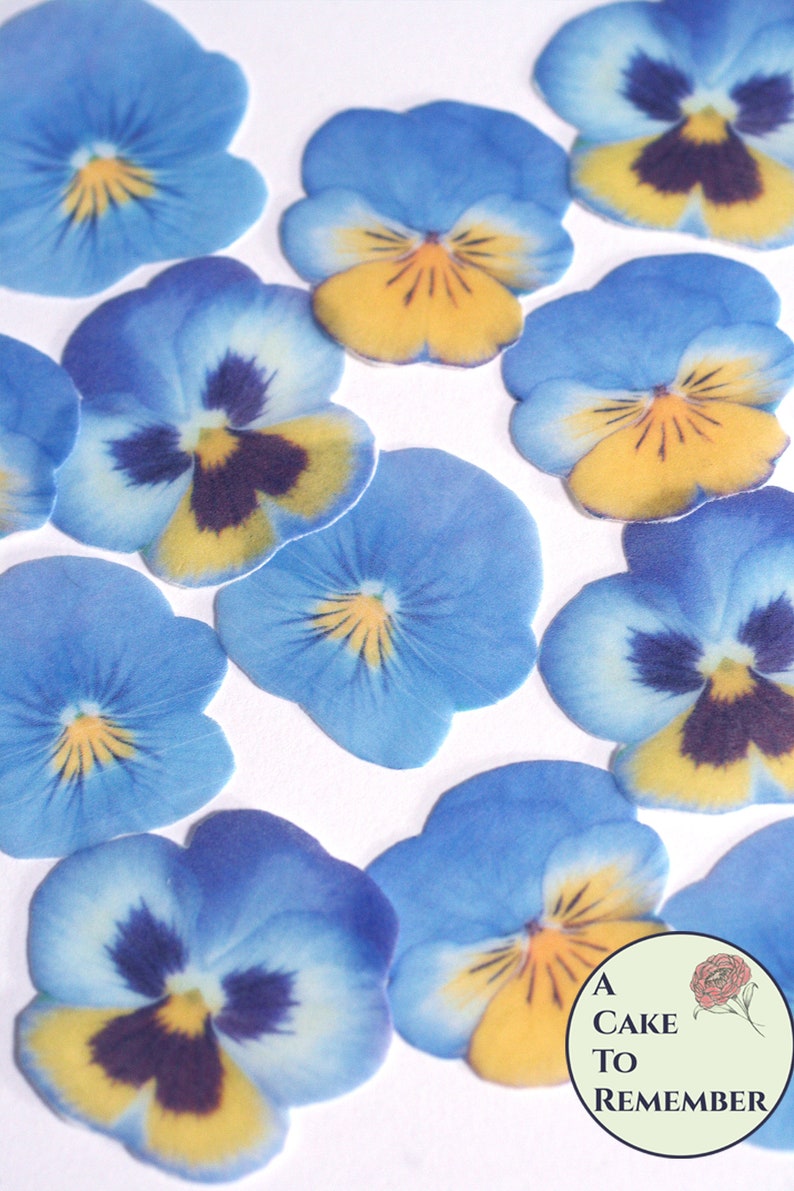 24 Blue and Yellow Edible Wafer Paper Pansies 1.25 | Etsy Canada