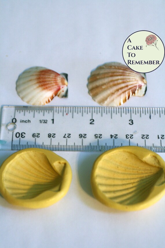 Molding Clam 2 1