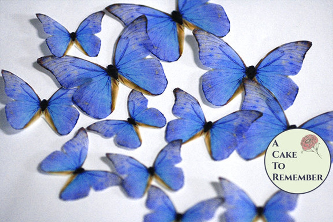 12 Blue Edible Butterflies Wafer Paper Butterflies for - Etsy