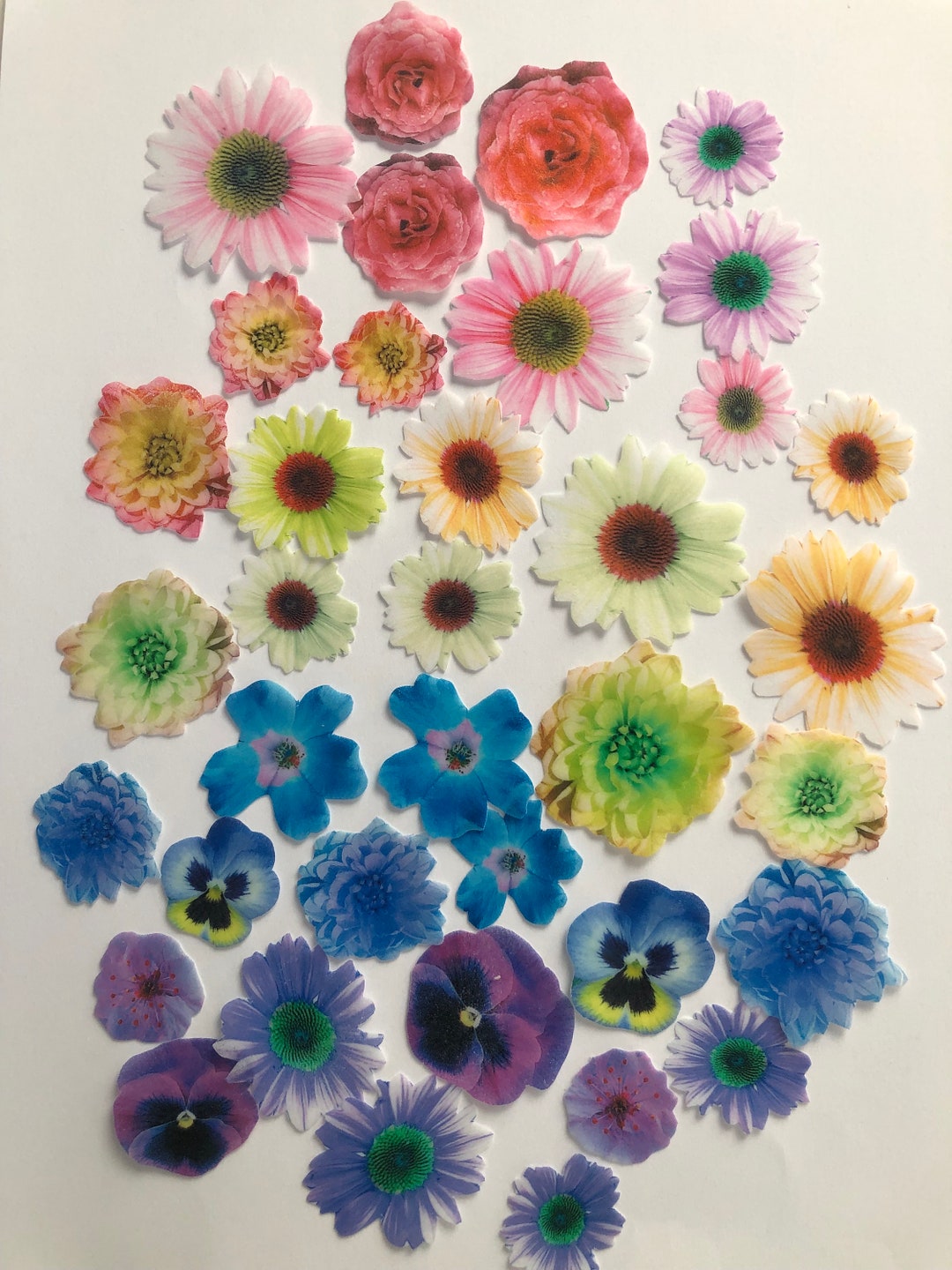 36 Wafer Paper Rainbow Edible Flowers in Assorted Sizes. Wafer Paper ...