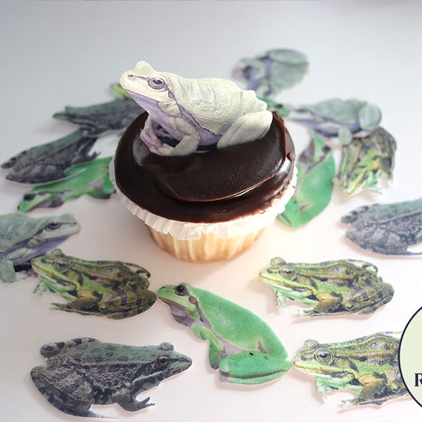 Frog Cupcakes - Etsy