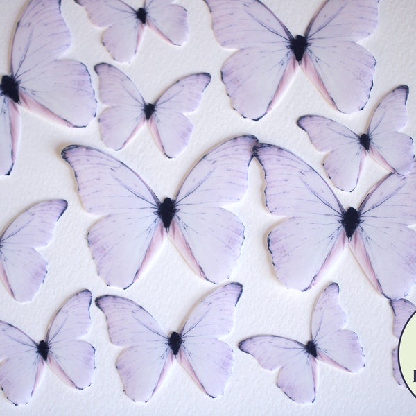 Wafer Paper Butterflies - Etsy