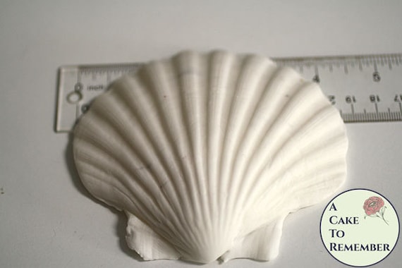 Molding Clam 2 1