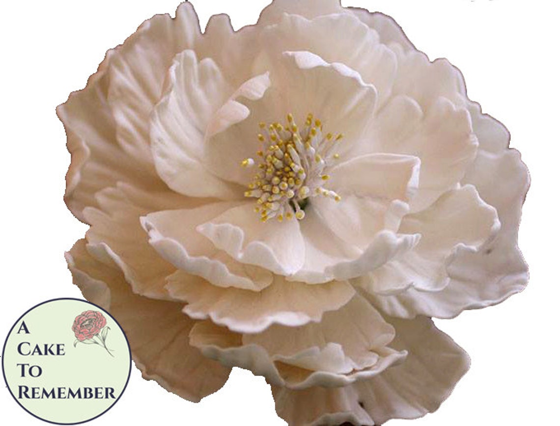 4 Styles Gumpaste Peony Tutorial for Cake Decorating Sugar | Etsy