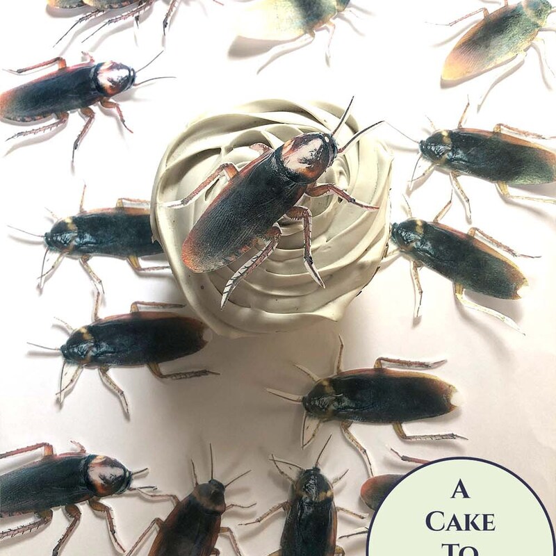 ACakeToRemember - Etsy