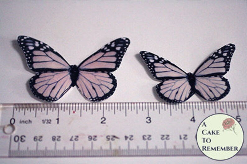 Blush Pink Edible Butterflies 12 Wafer Paper Monarch Etsy