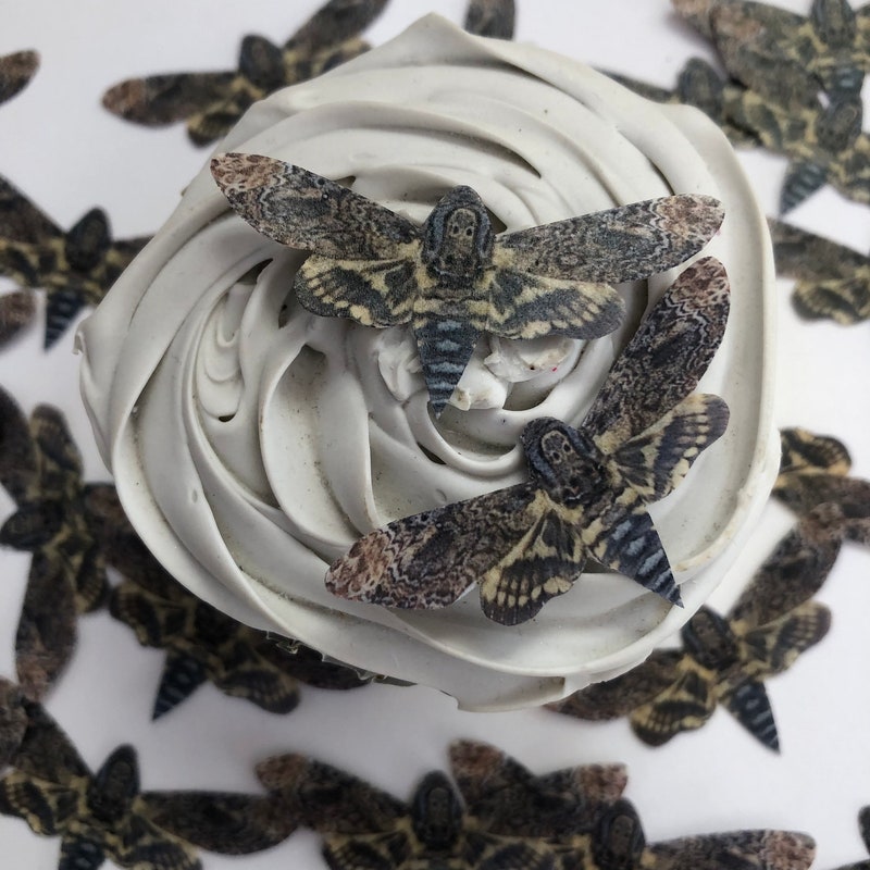 ACakeToRemember - Etsy