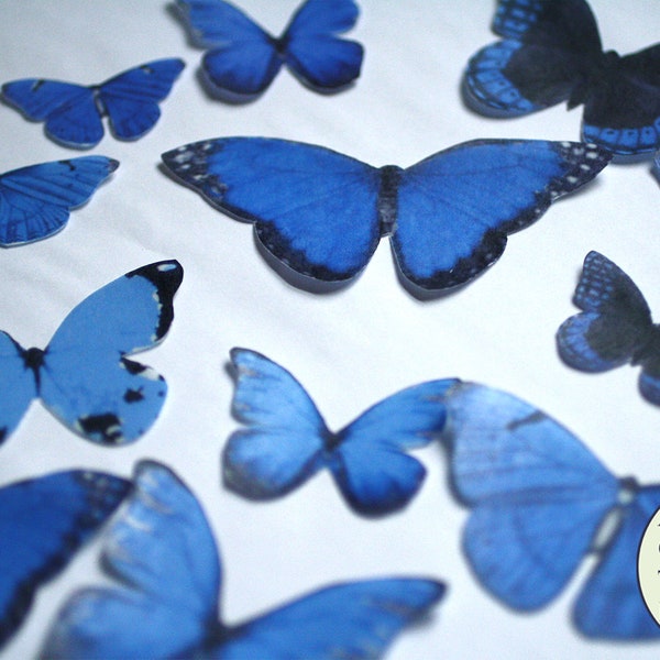 Royal Blue Butterfly Cake Topper - Etsy