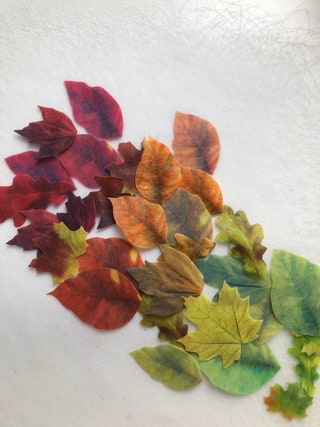 ACakeToRemember - Etsy