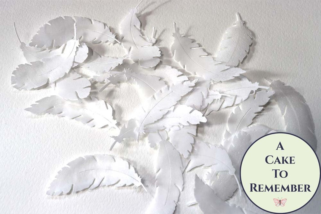 24 Medium White Edible Wafer Paper Feathers in Various Shapes. Edible ...