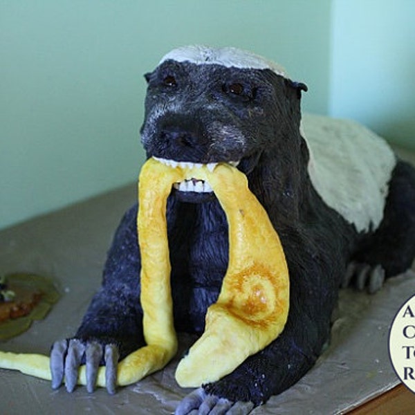 Cake Decorating Tutorials - Etsy