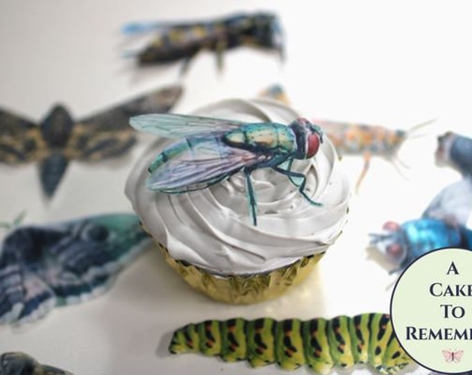 Birthday Felt Crown Bugs, Insects, Bug Party, Personalized Birthday ...