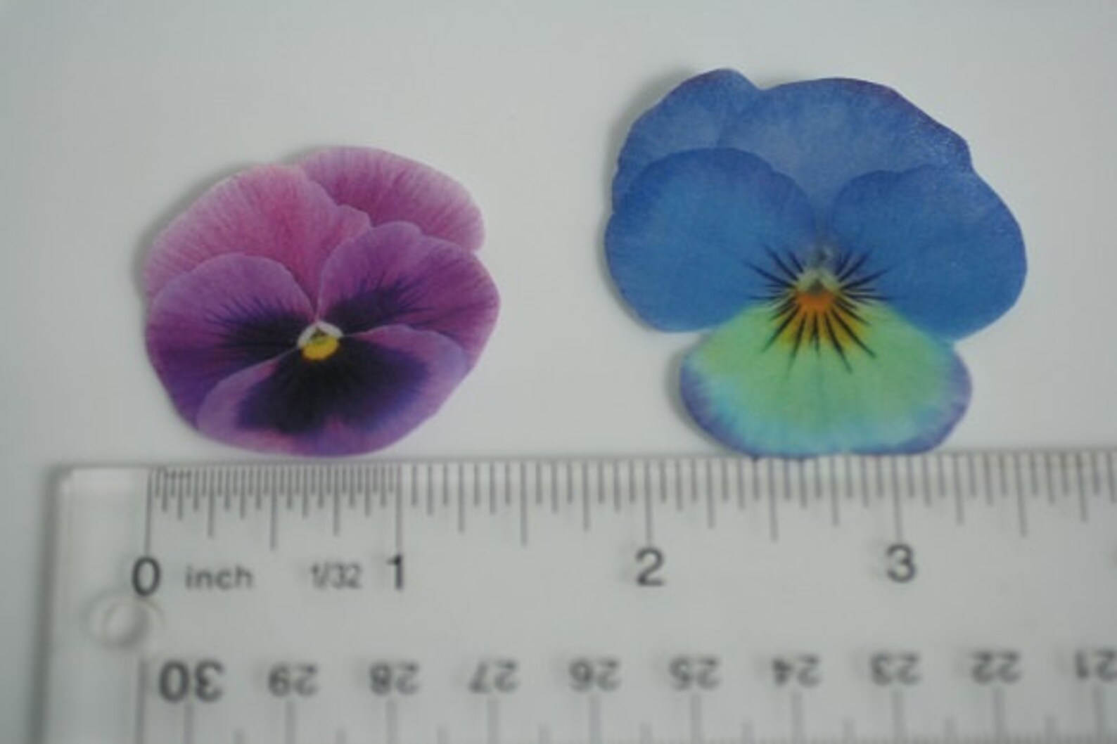 Edible Wafer Paper Pansy for Cakes 24 Assorted Colors | Etsy