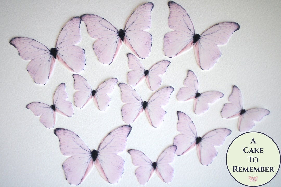 Ships Fast Pale Pink Edible Butterflies 12 Wafer Paper Butterfly Cake
