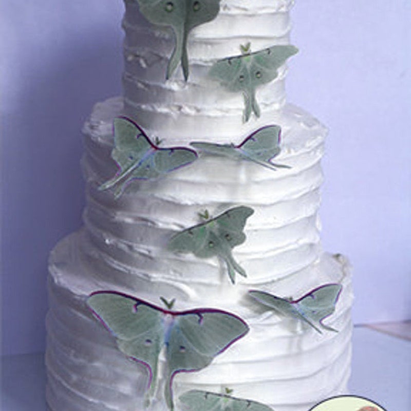 ACakeToRemember - Etsy