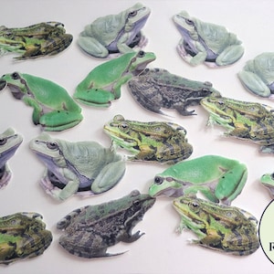 16 Frog Cupcake Toppers, Realistic Printed Frogs on Edible Wafer Card ...