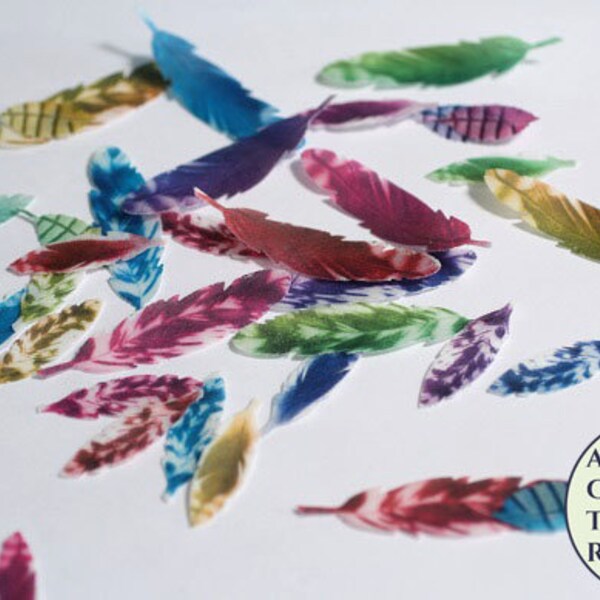 Feathers - Etsy