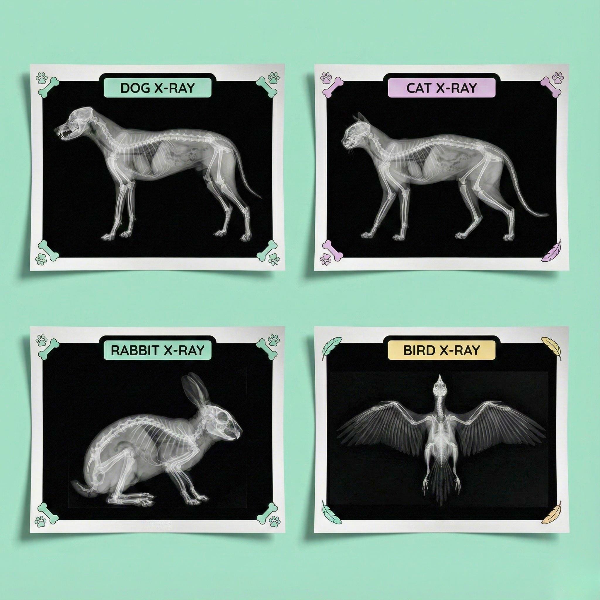 Vet Clinic Dramatic Play Kit | Printable Veterinary Clinic Set ...