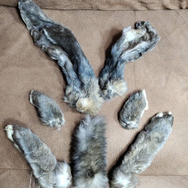 Rabbit Ears and Feet - Etsy