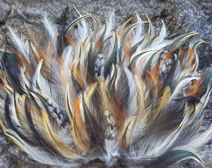 Hackle Sampler Lot of 200 Natural Feathers - Etsy
