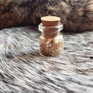 Rabbit Toenails in a Jar Curiosity Cabinet Item Cruelty Free White - Etsy
