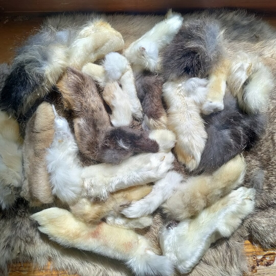 Rabbit Feet Ears and Tails - Discounted Stained Yuckies - Lot of 25 - Etsy