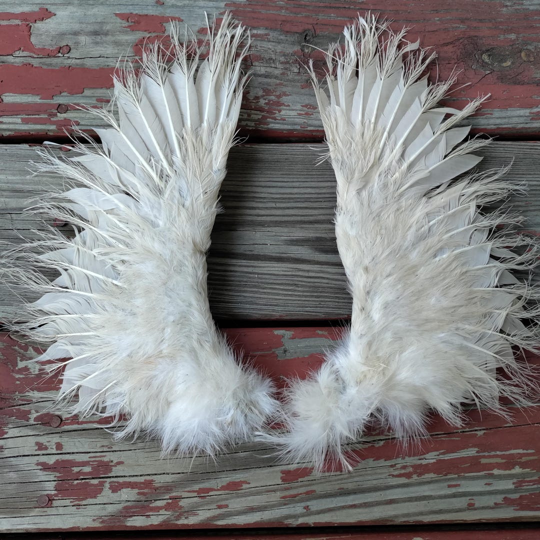 Wings Fallen Angel White Silkie Pair - Etsy