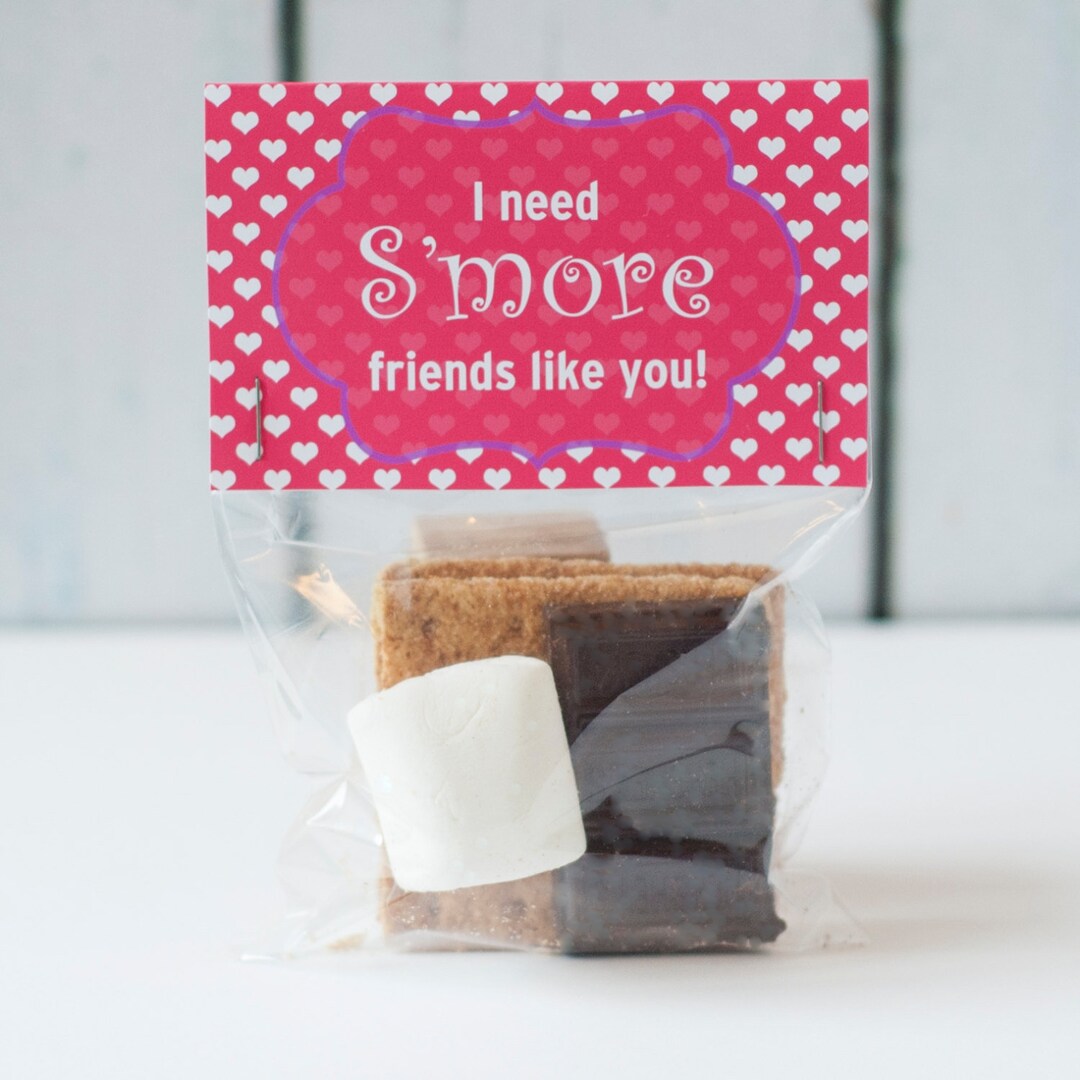 S'more Valentine Treat Bag - S'more Friends Like You - Kids Valentines ...