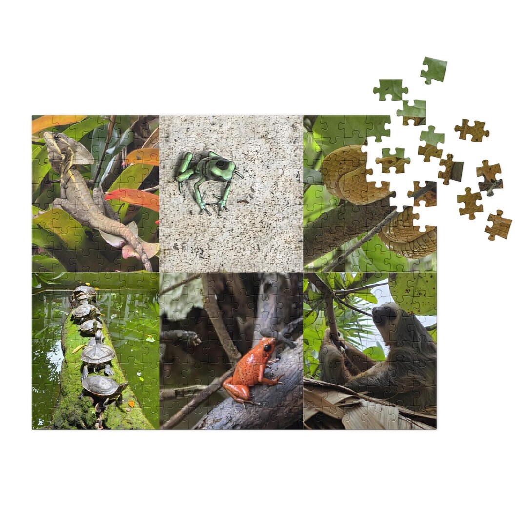 Costa Rica Wildlife Jigsaw Puzzle: Sloth & Frog Photo Collage (1000 ...