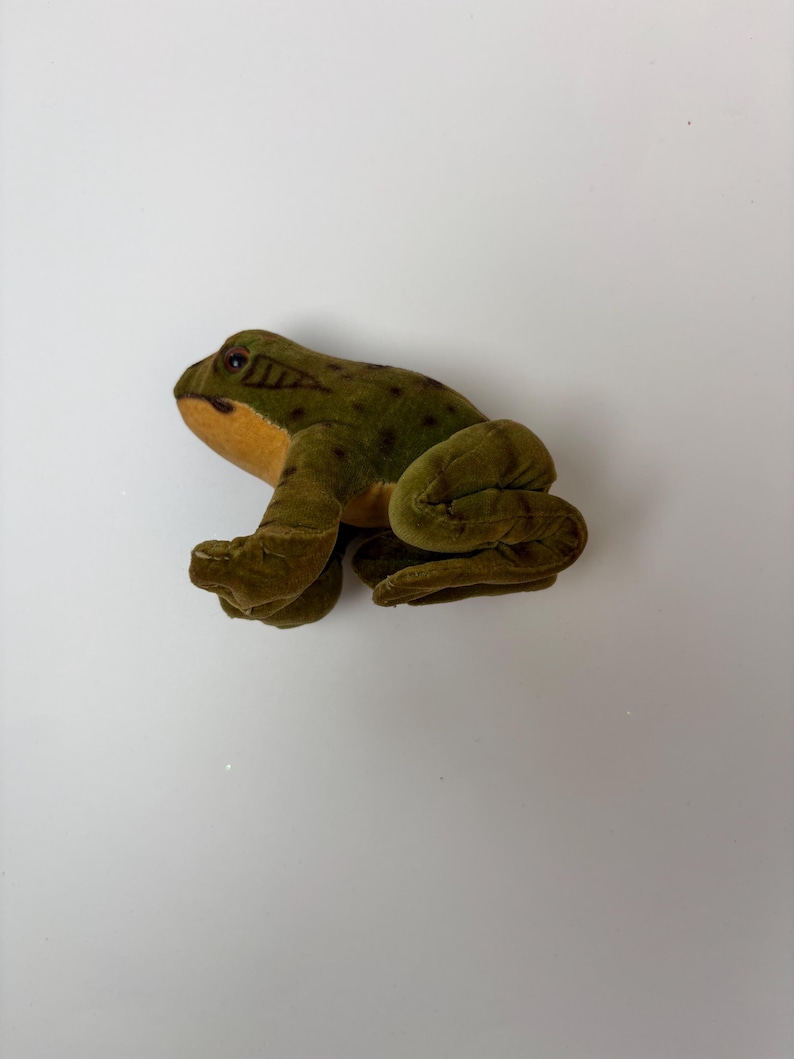 Vintage 1950s Steiff Frog Good Condition, Made in Germany, Steiff Toy ...