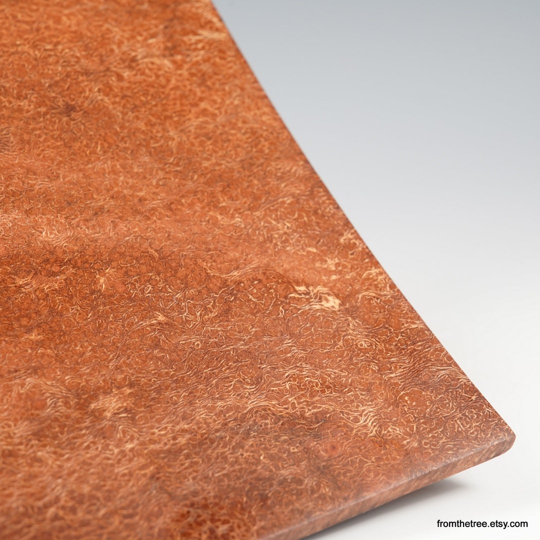 Square London Plane Burr Wood Decorative Dish, Christmas Day Gift ...