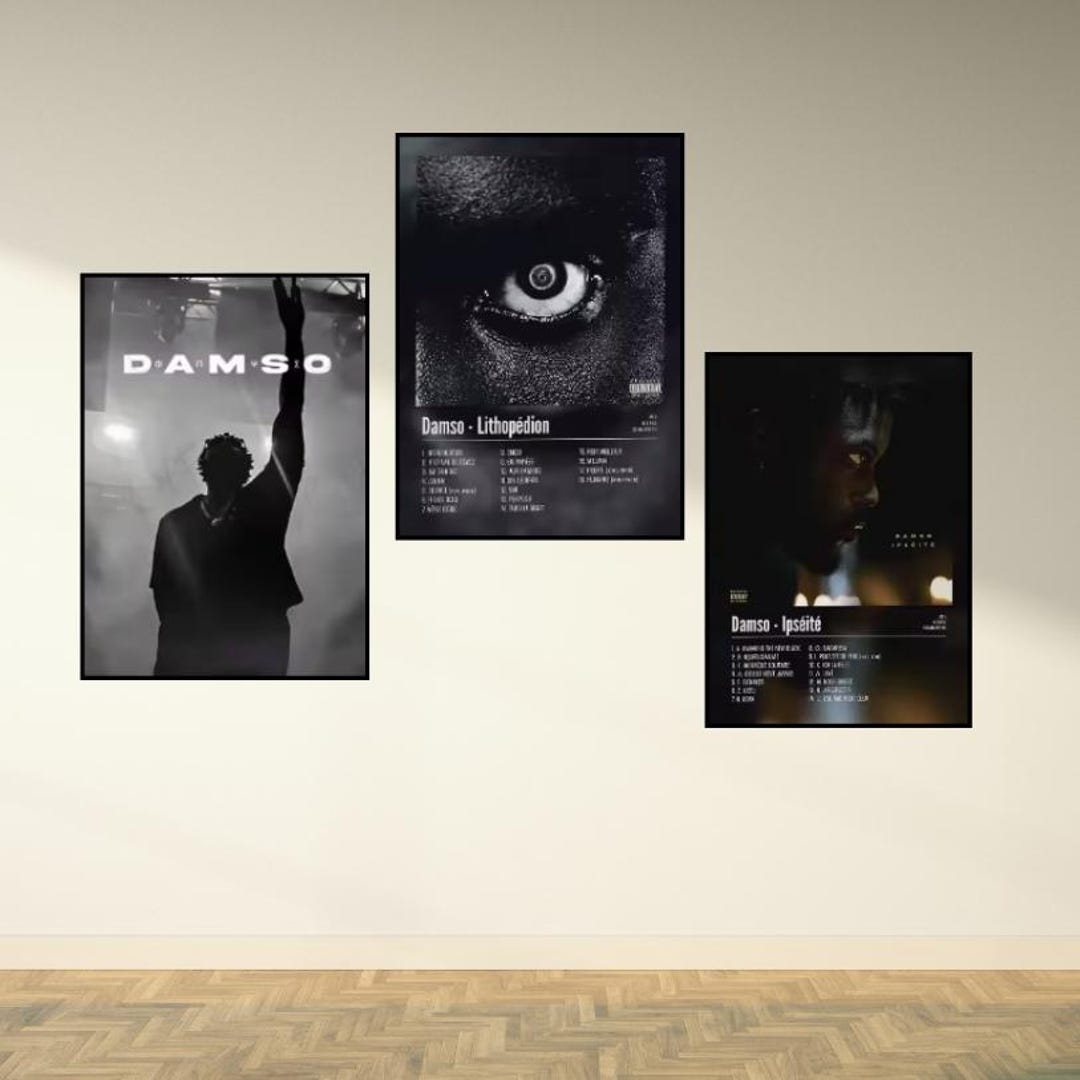 Damso Poster – Aesthetic French Rap Music Wall Decor, Different Models, Rapper Fan Gift - Etsy