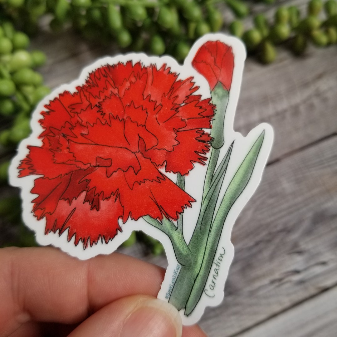 STICKER: Carnation Flower Sticker, Ohio State Flower Decal, State ...